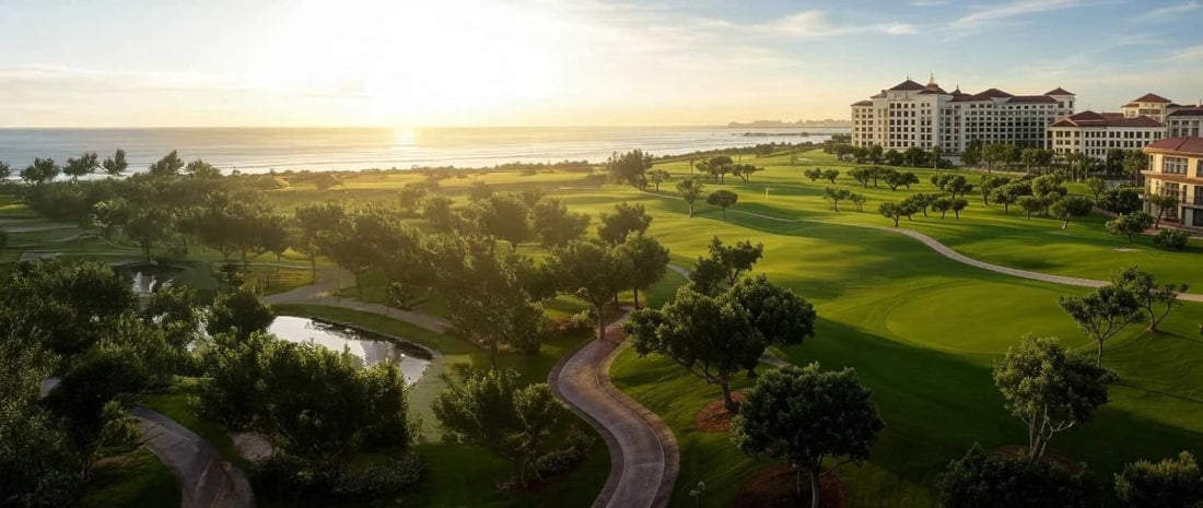 Gaza Riviera Collection – Ruthless